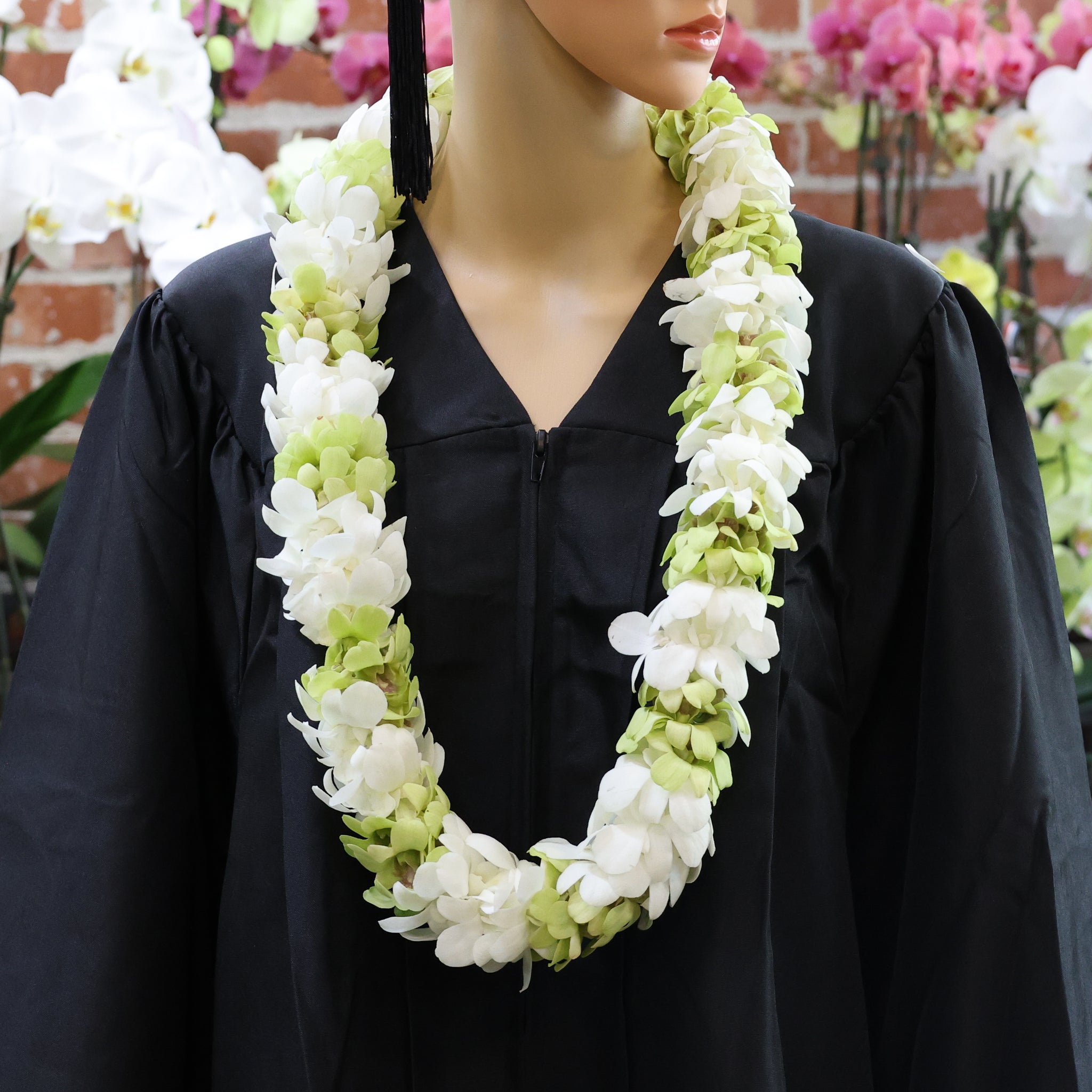 White & Green Dendrobium Sonia Orchids Double Leis – eflowerwholesale