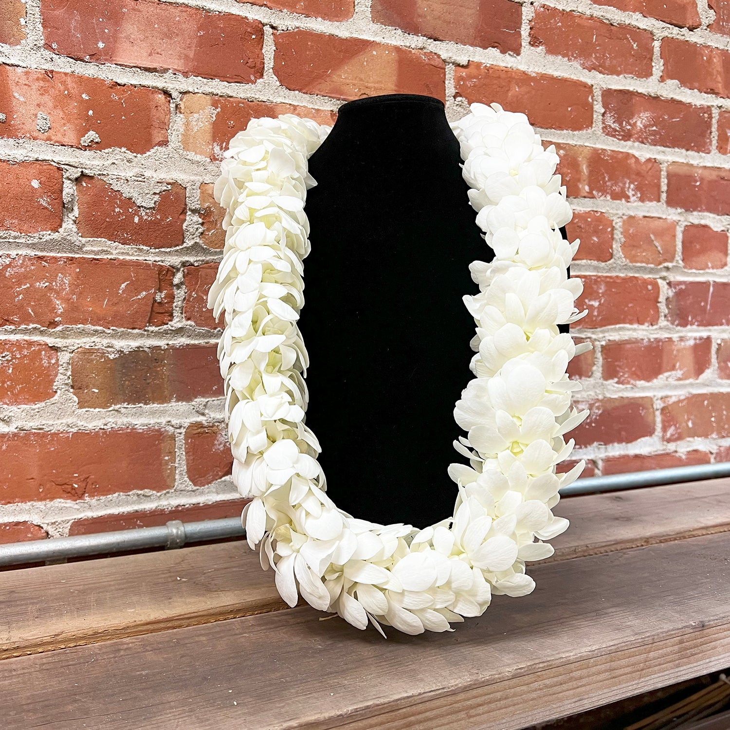 White Dendrobium Orchid Double Leis – eflowerwholesale